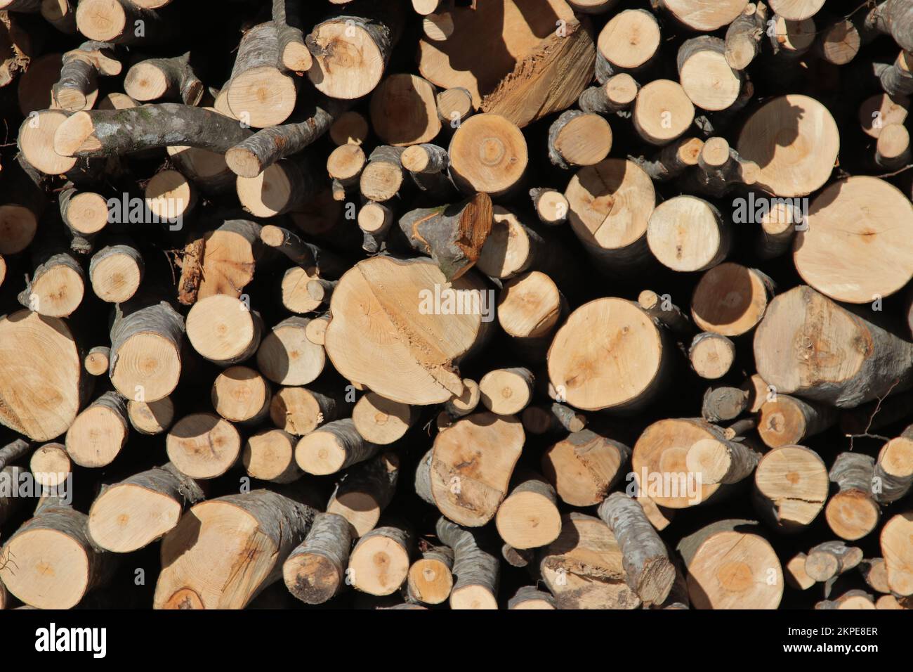 Pine logs tree hi-res stock photography and images - Alamy