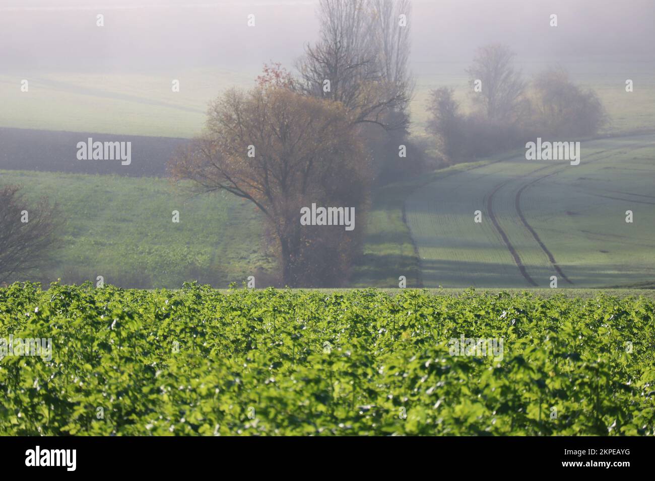 the Land consolidation leads to absurd Landscape images Stock Photo - Alamy