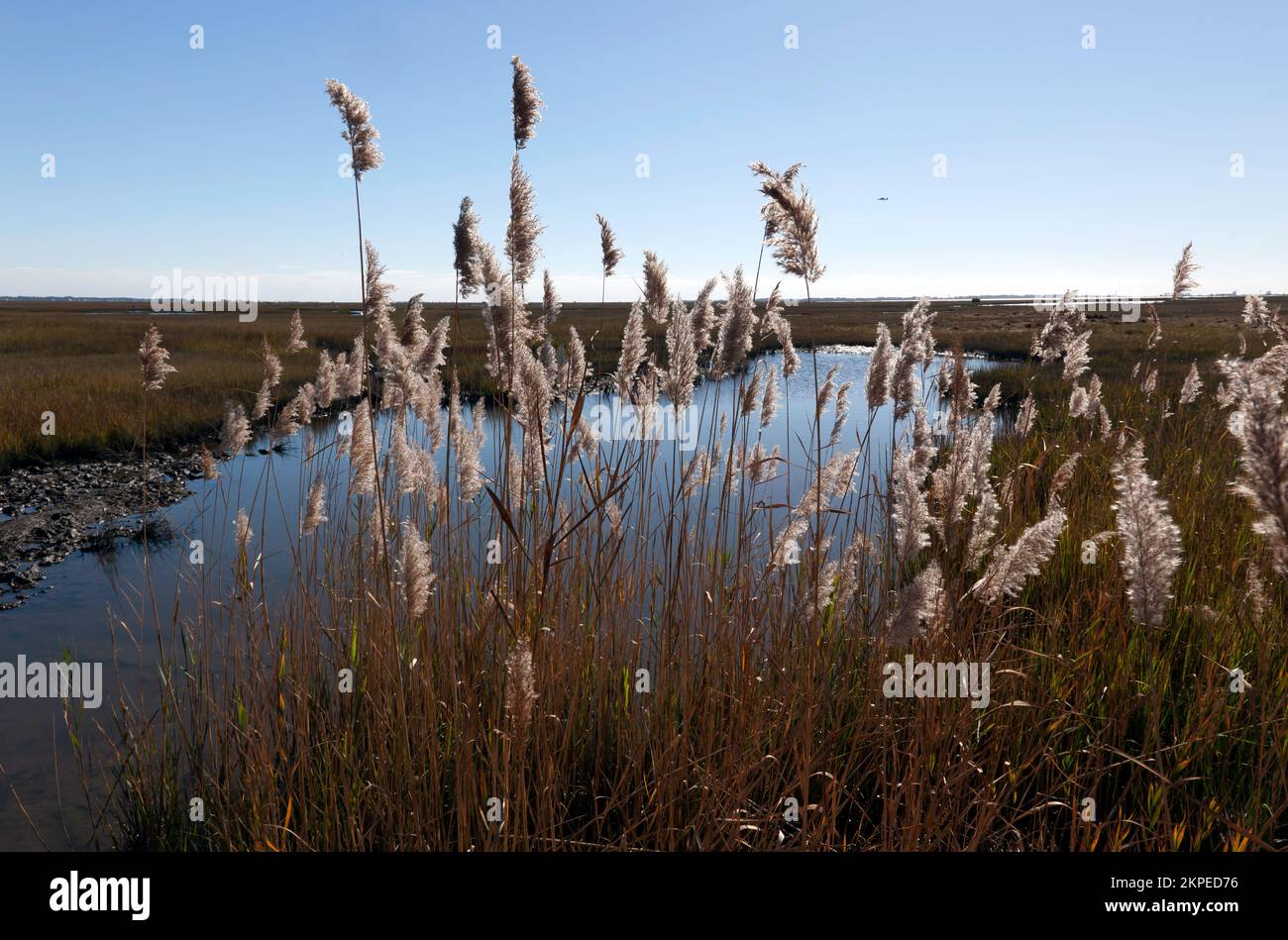 View from NASA's Wallops Island Flight Facility Visitors Centre looking ...