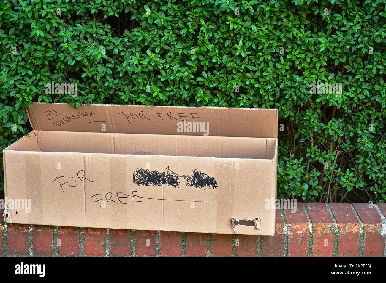 A cardboard box with "for free" writing on a brick fence with green ...