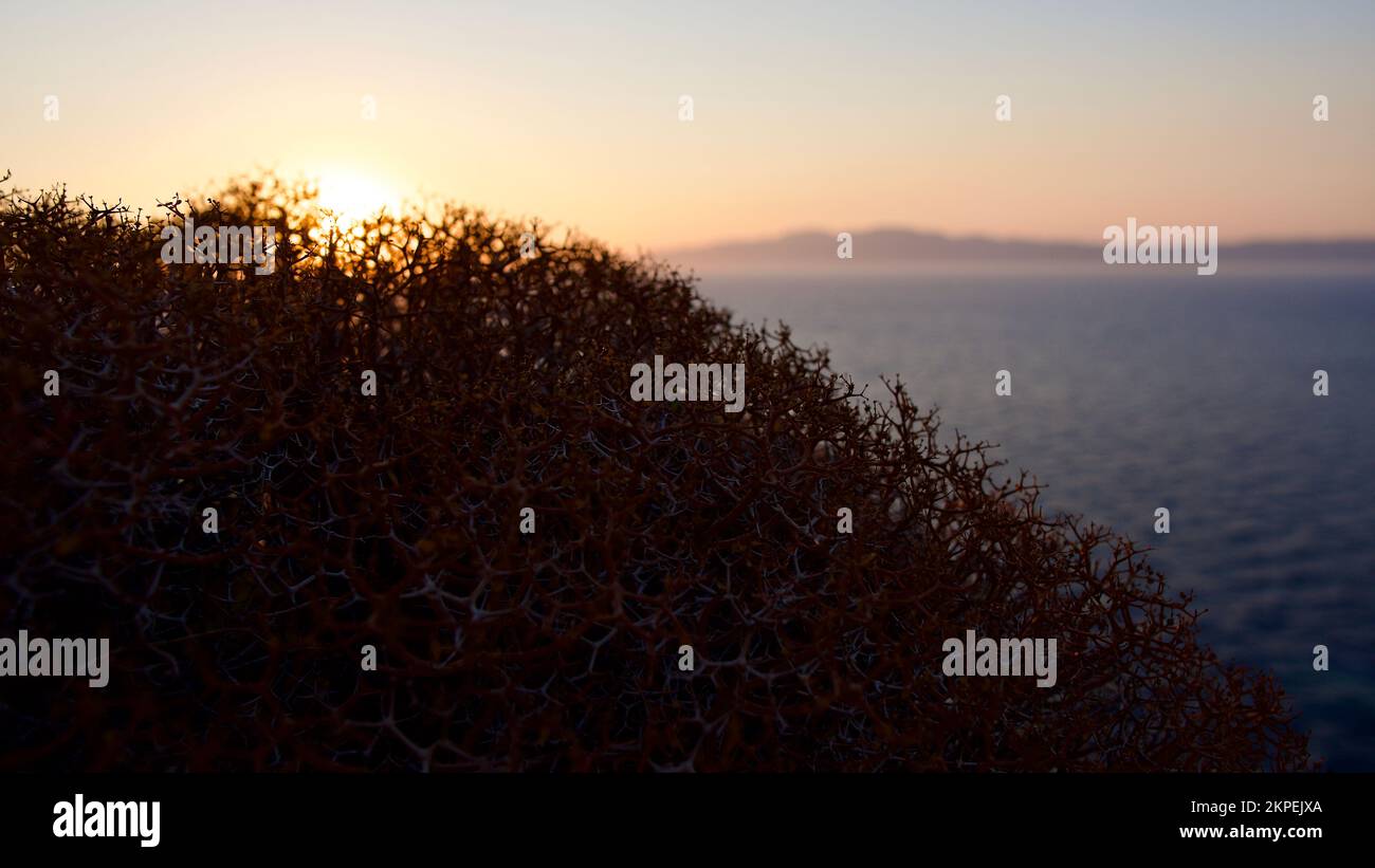 Southwestern tip of Turkey. Sunset from the ancient city of Datca Knidos. Yazikoy village harbor ...
