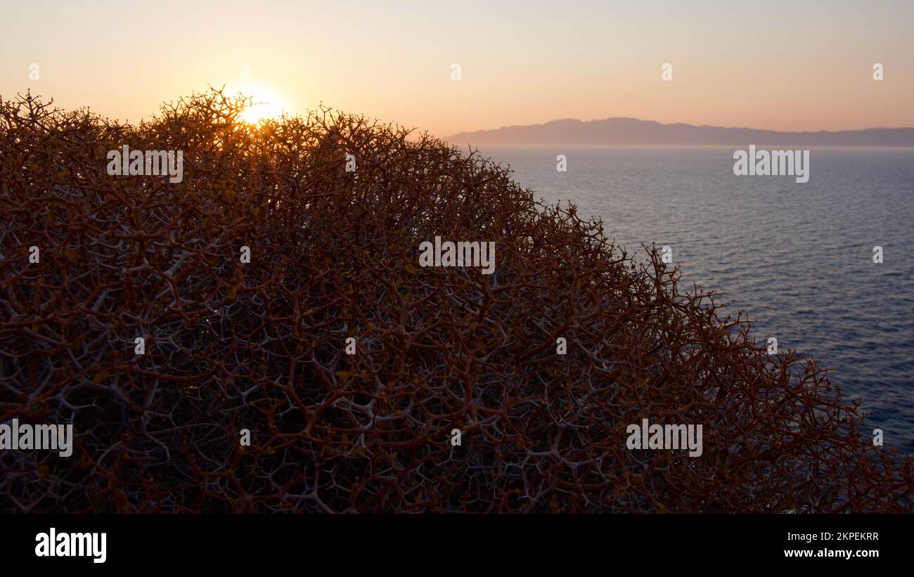 Southwestern tip of Turkey. Sunset from the ancient city of Datca Knidos. Yazikoy village harbor ...