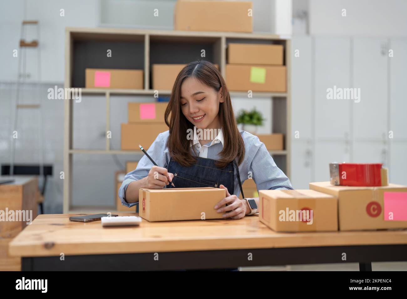 Portrait asian entrepreneur successful with her SME business. Online ...