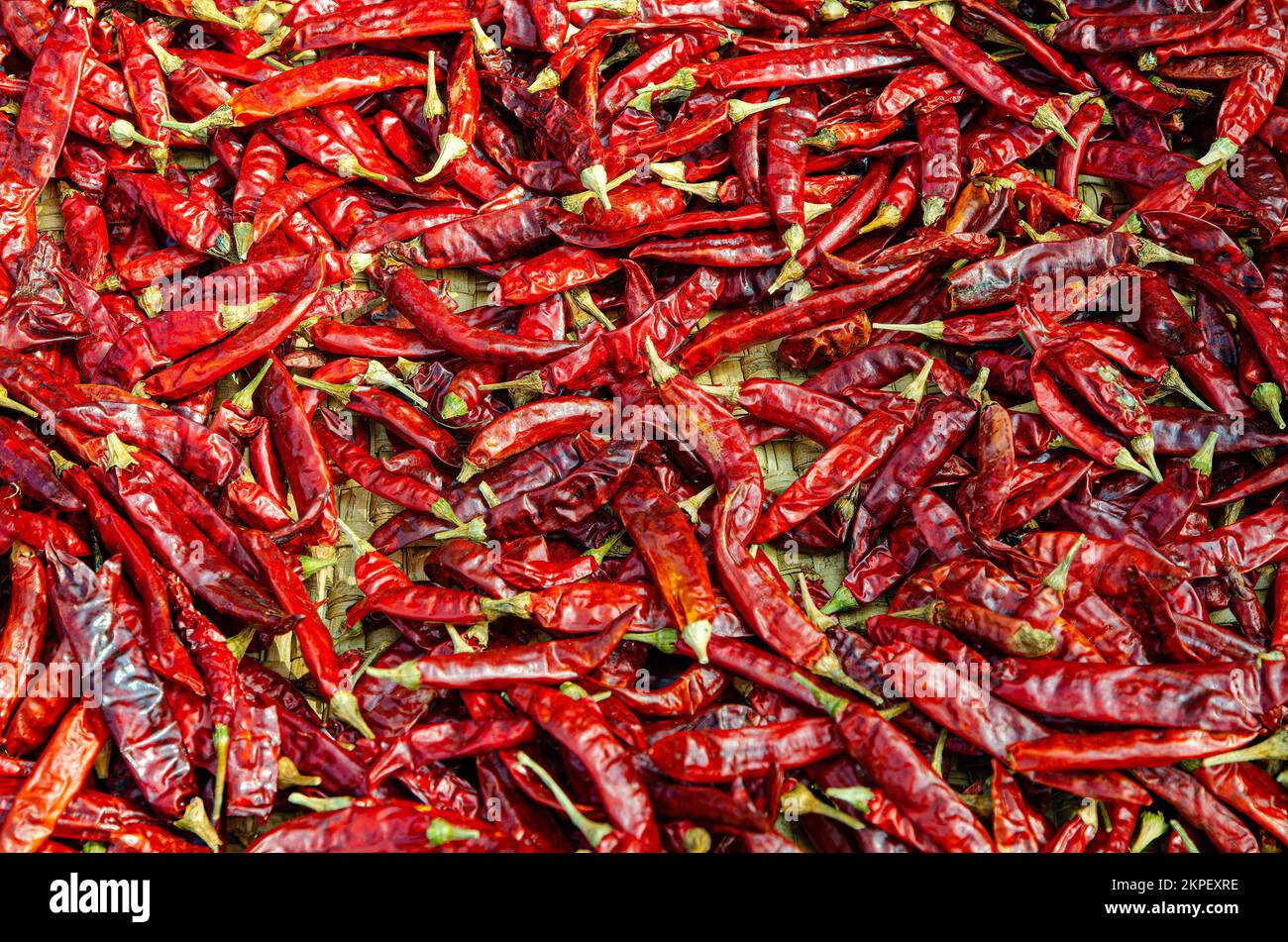 Hot peppers, typical spicy in Sri Lanka Stock Photo - Alamy