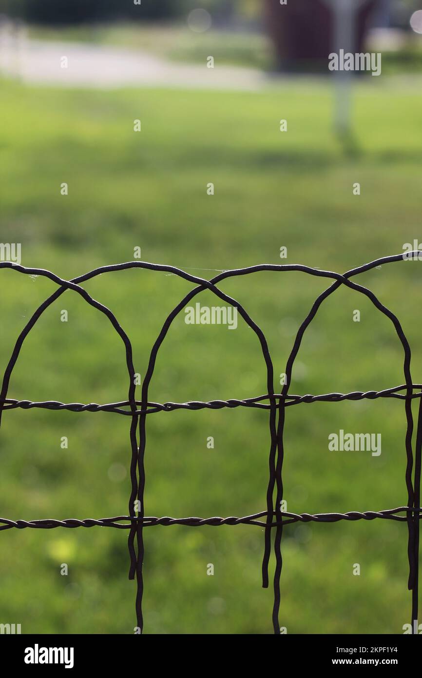 Traditional vintage wire fence surrounding the kitchen garden Stock ...