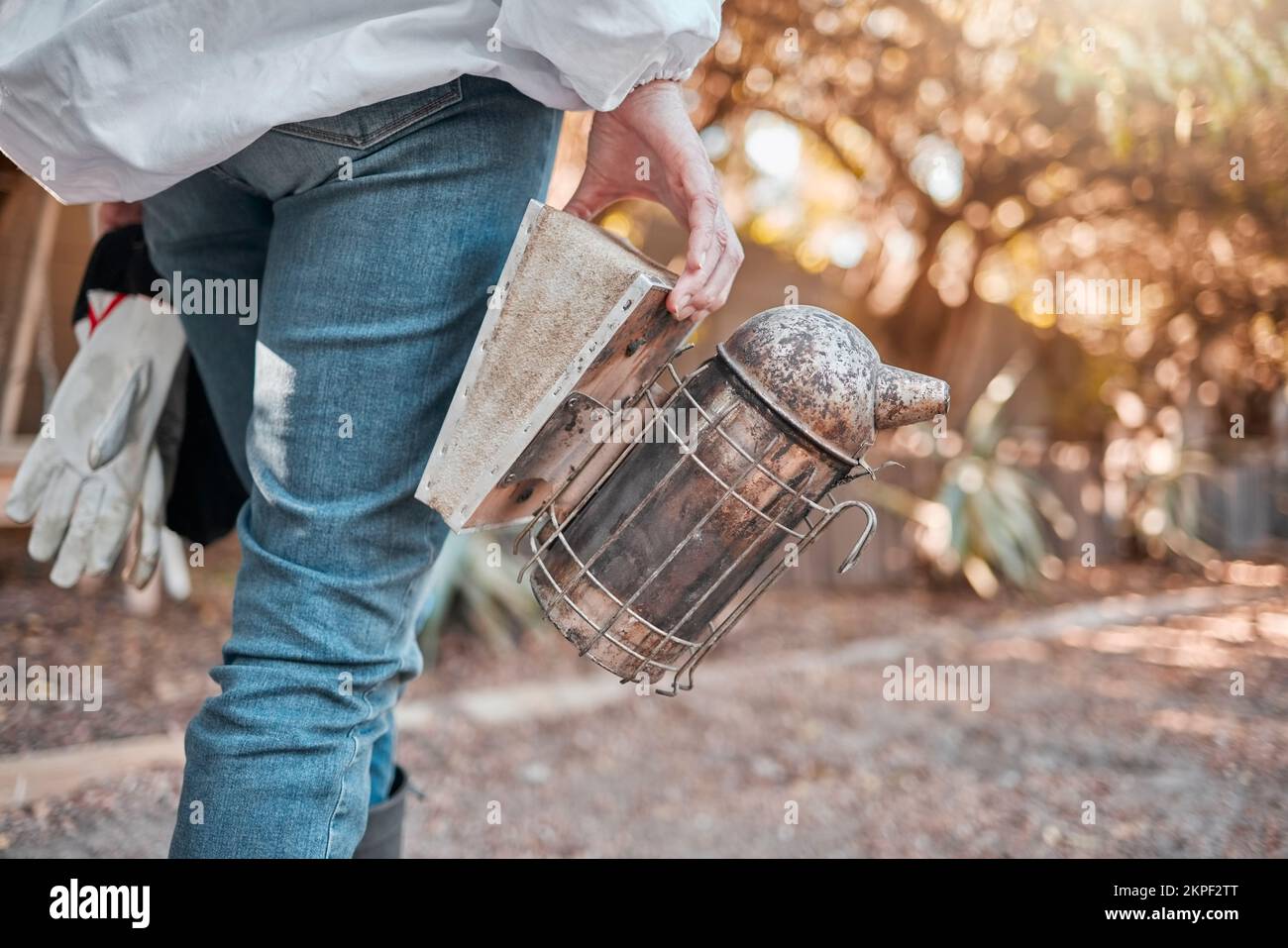 Beekeeping uniform and gloves hi-res stock photography and images - Alamy