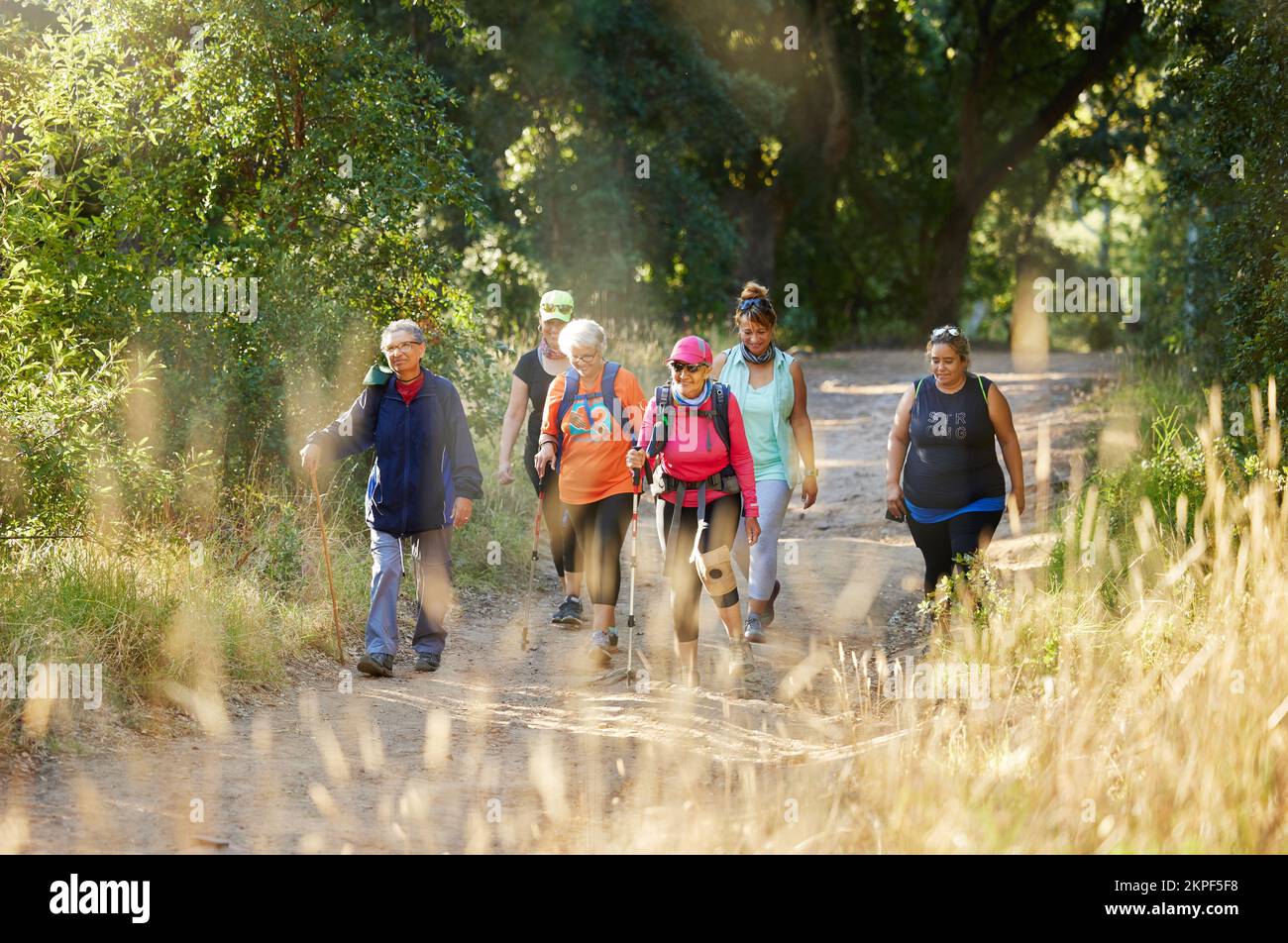 Nature, walking and senior group hiking in forest for exercise, health ...