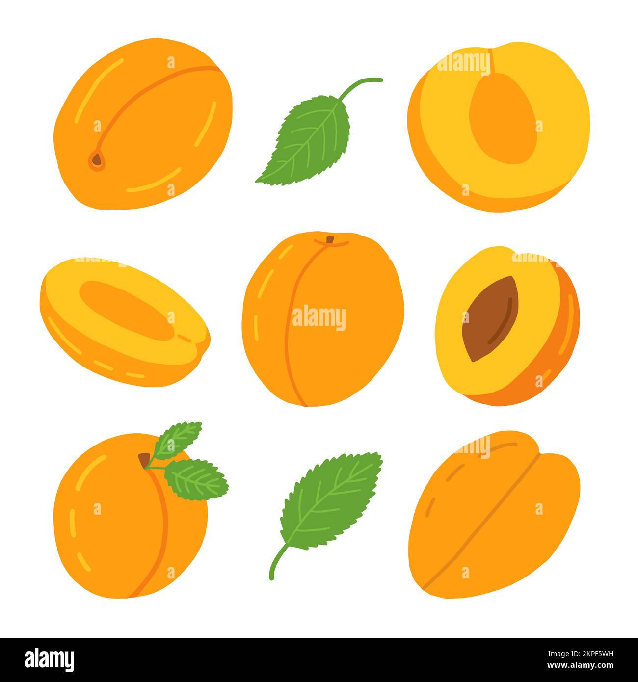 Flat vector apricots set Stock Vector Image & Art - Alamy