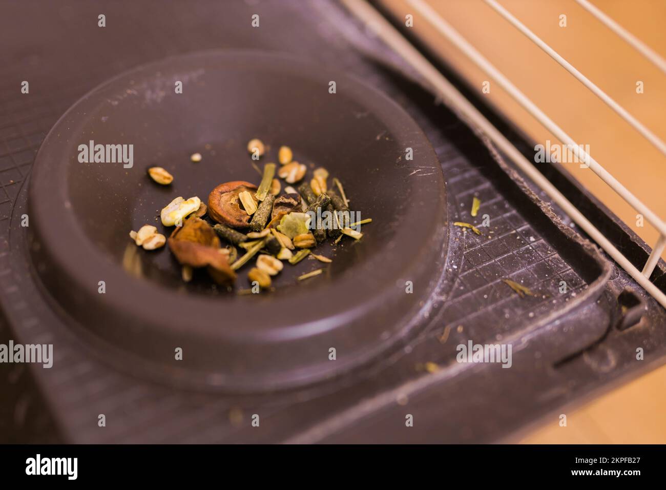 Dry food for rodents in bowl in rabbit cage Stock Photo - Alamy