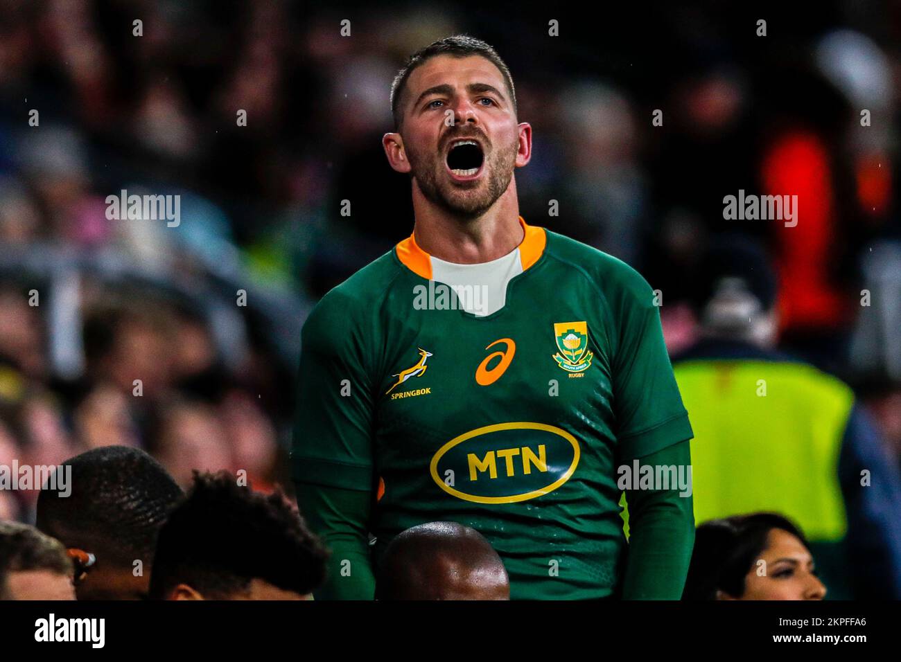 South Africa's Willie le Roux during the Autumn International match at ...