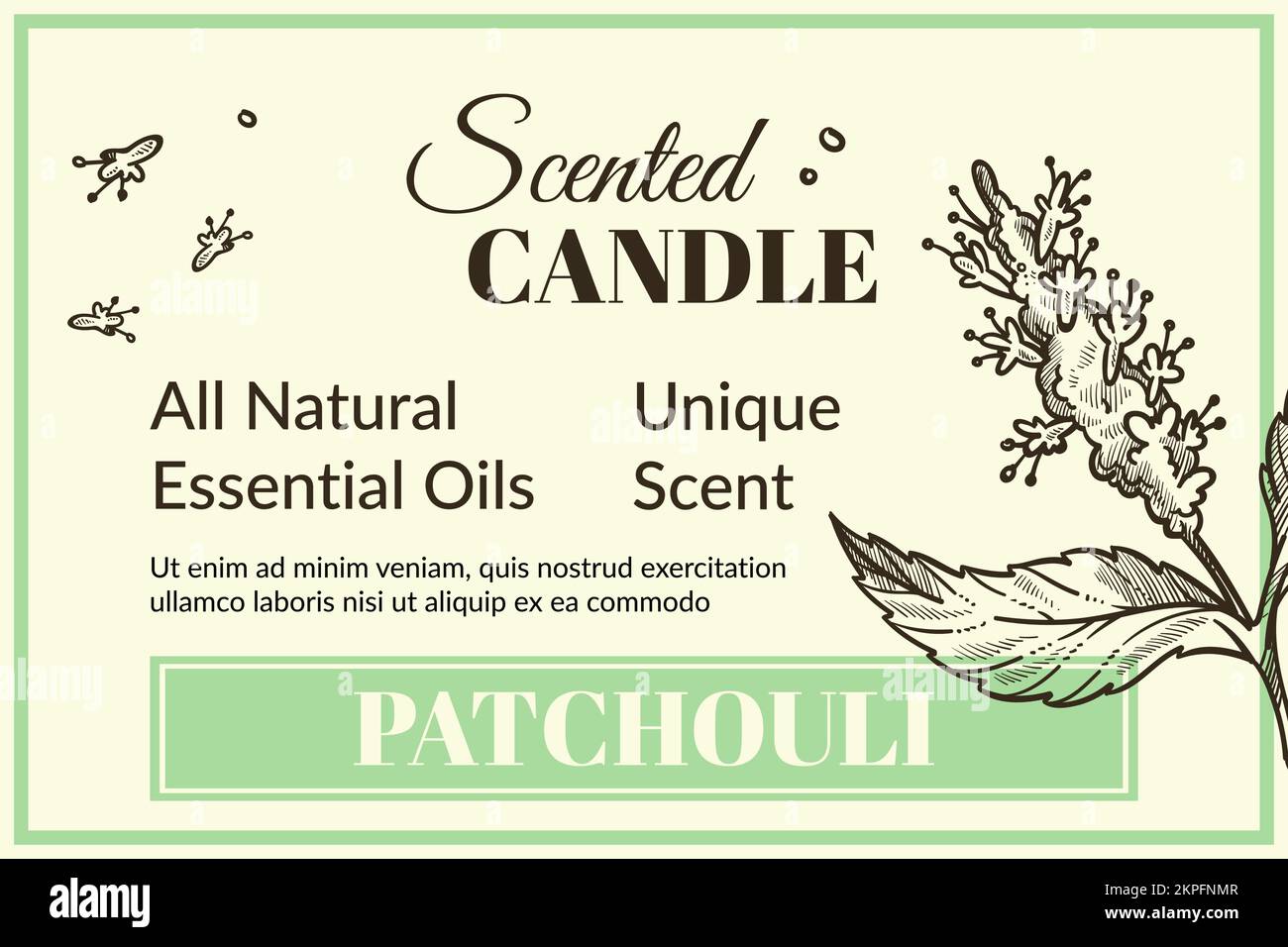 Chinese patchouli Stock Vector Images - Alamy