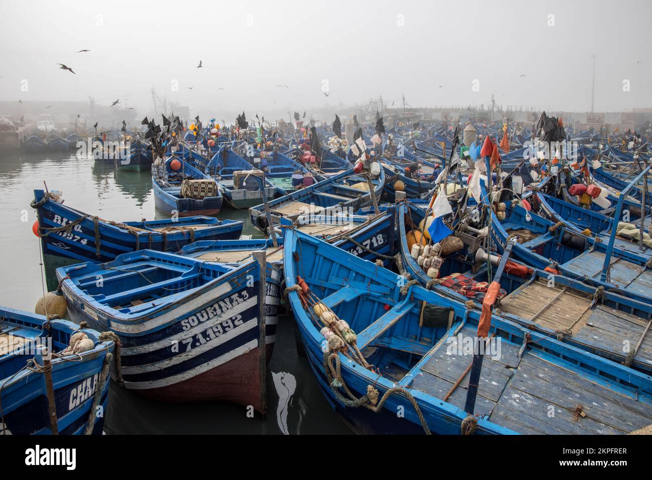 sea mist envelops the sardine fishing fleet in the port of essaouira ...