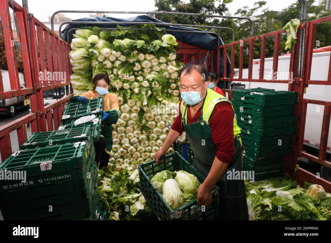 Beijing, China. 12th Nov, 2022. Workers carry vegetables at a logistics ...