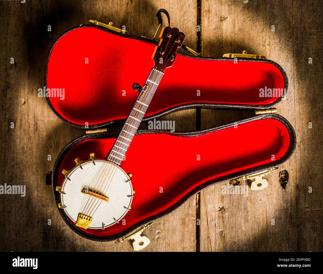Opening of musical festivities with banjo displayed on velvet red ...