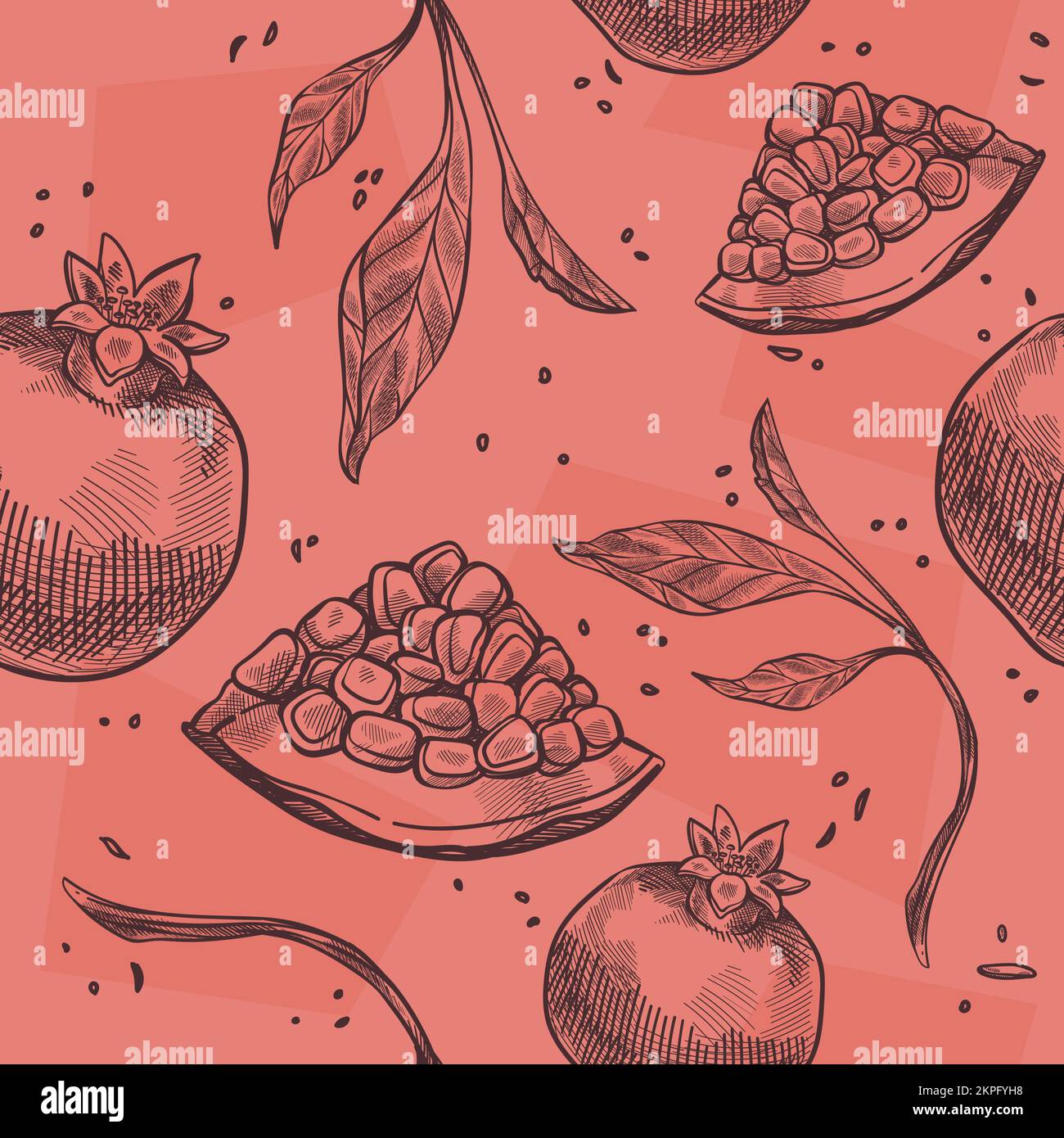 Vintage botanical pomegranate tree Stock Vector Images - Alamy