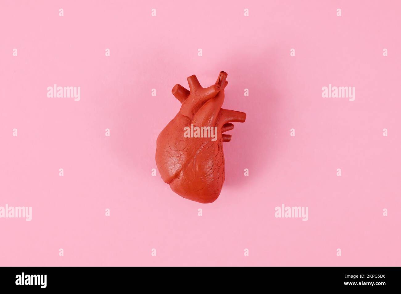 Single heart organ model on pink background Stock Photo - Alamy