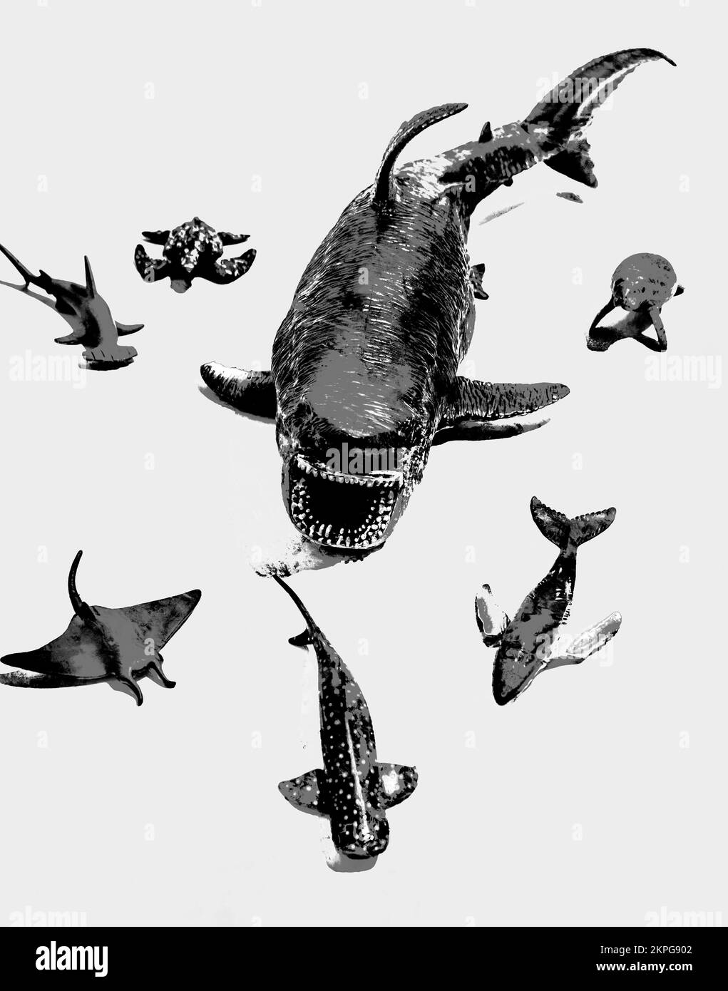 Beach Poster Design On A Line Of Various Marine Life On Toned White Beach Poster Design On A Line Of Various Marine Life On Toned White