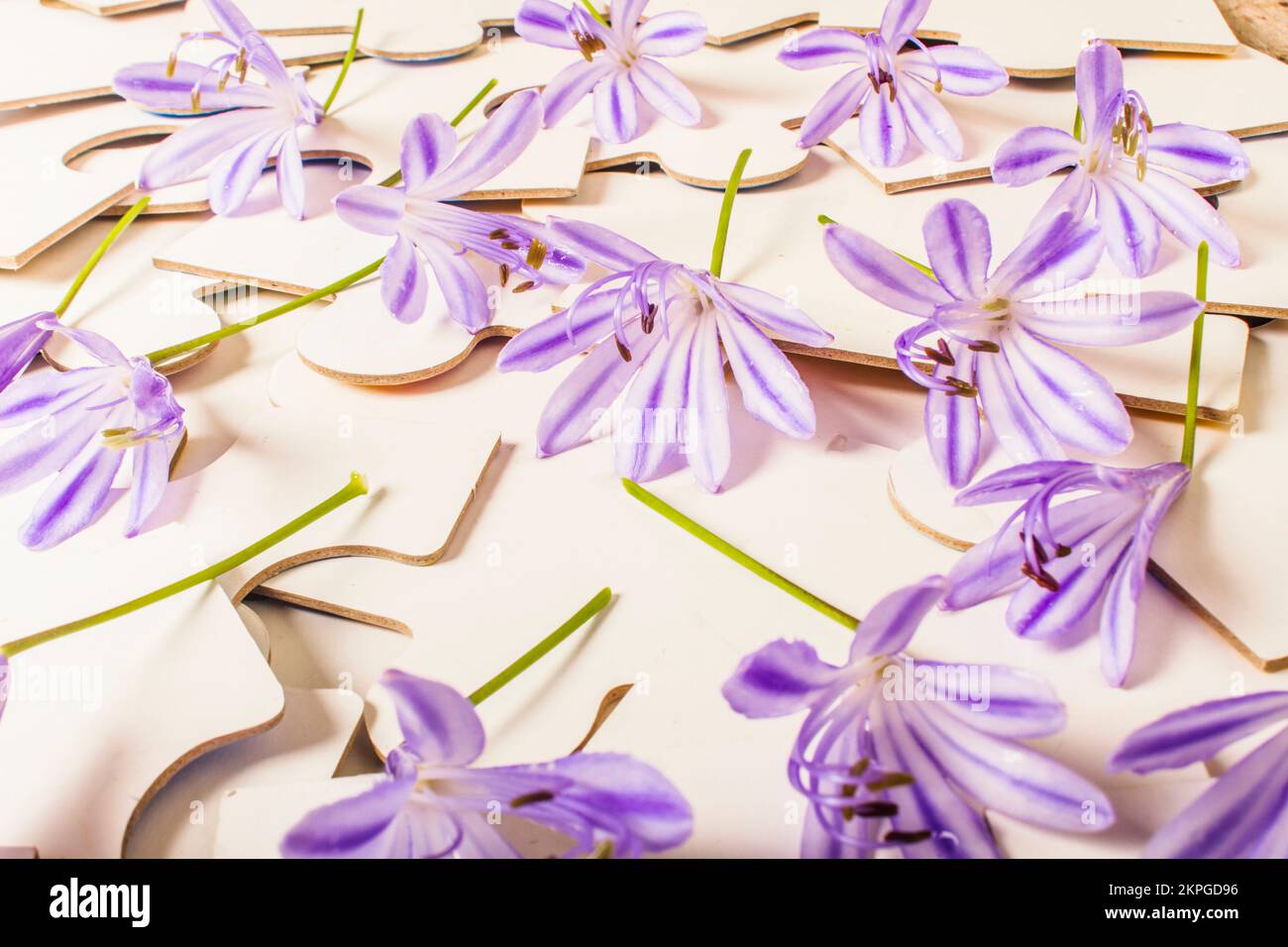 Puzzle pieces and purple bell flowers in a decorative scramble. Games ...