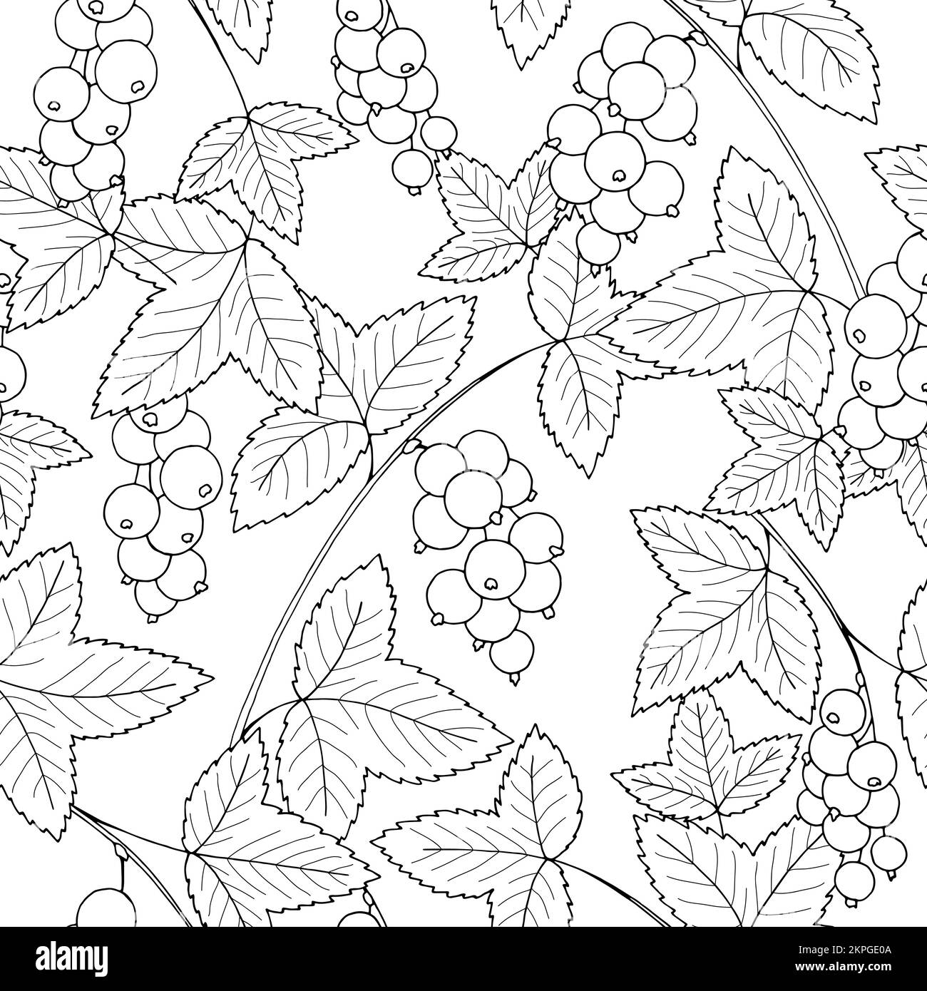 Currant plant seamless pattern background graphic black white sketch ...