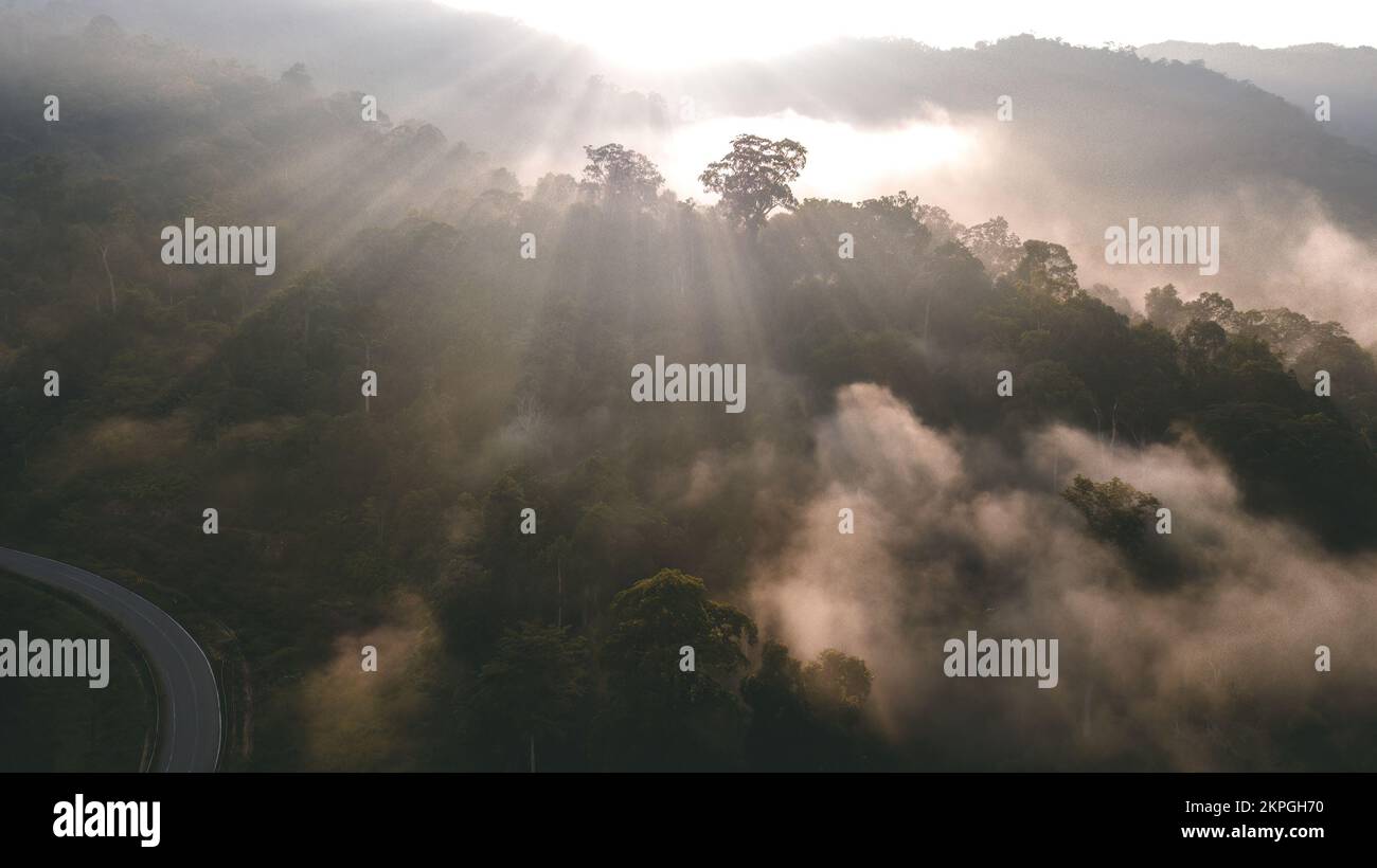 Aerial view of mist, blanket cloud and fog hanging over a lush tropical ...