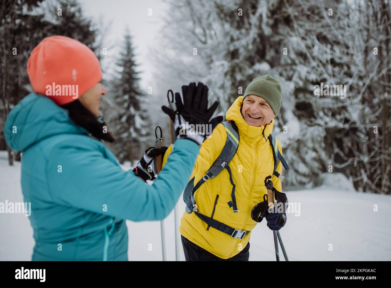 Senior couple skiing together in the middle of forest, having break ...