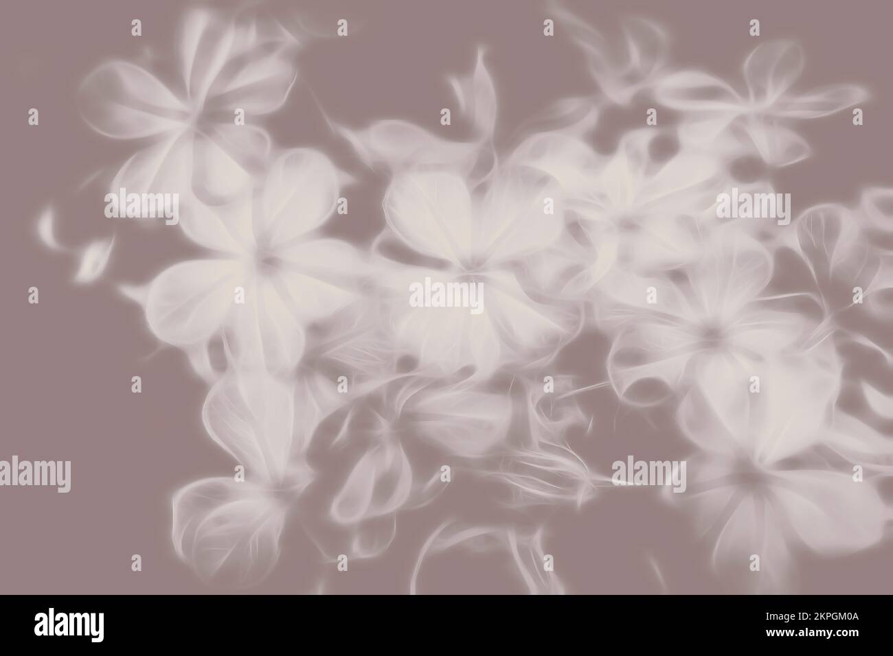 Fine art of translucent ghostly flowers swirling in mysterious ways ...