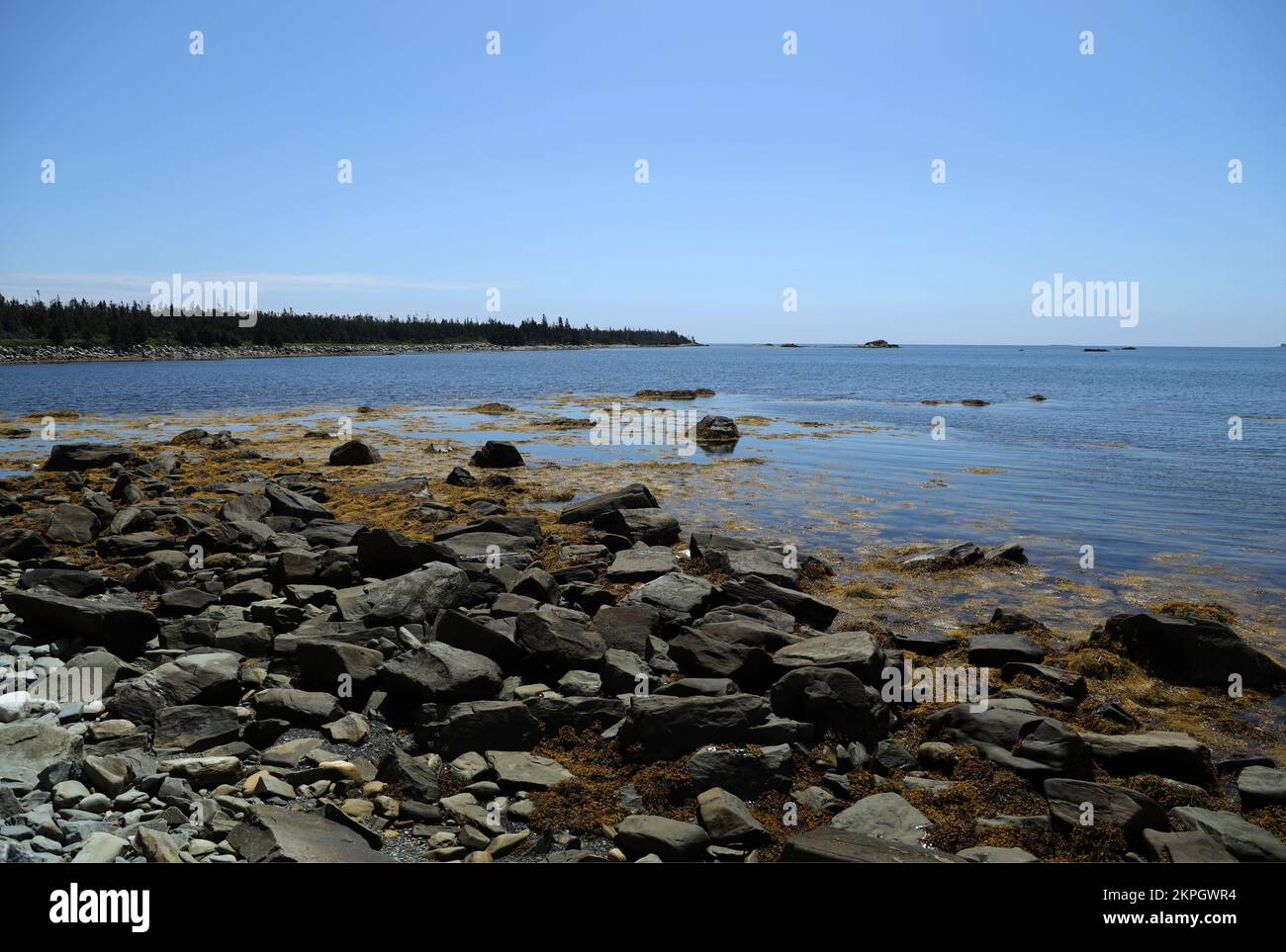 Taylor head provincial park hi-res stock photography and images - Alamy