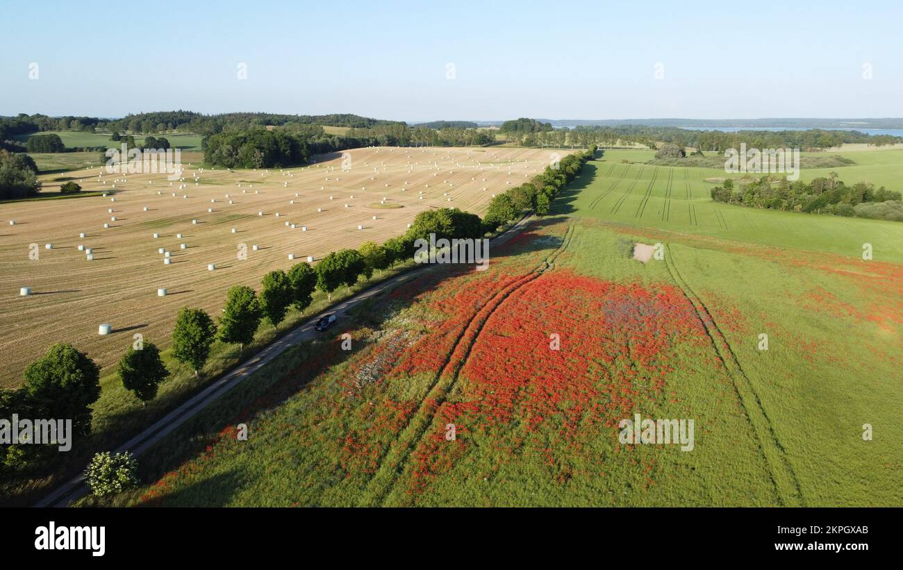 Mecklenburger Schweiz 02 Stock Photo - Alamy