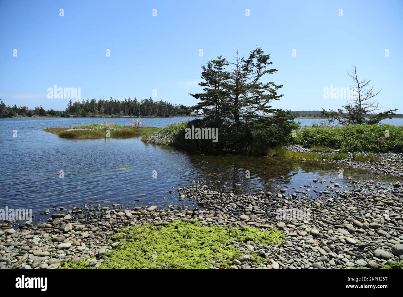 Taylor head provincial park hi-res stock photography and images - Alamy