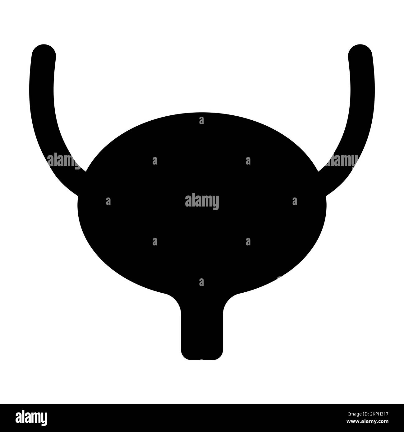 Urology health human icon, anatomy medical body bladder sign, biology ...