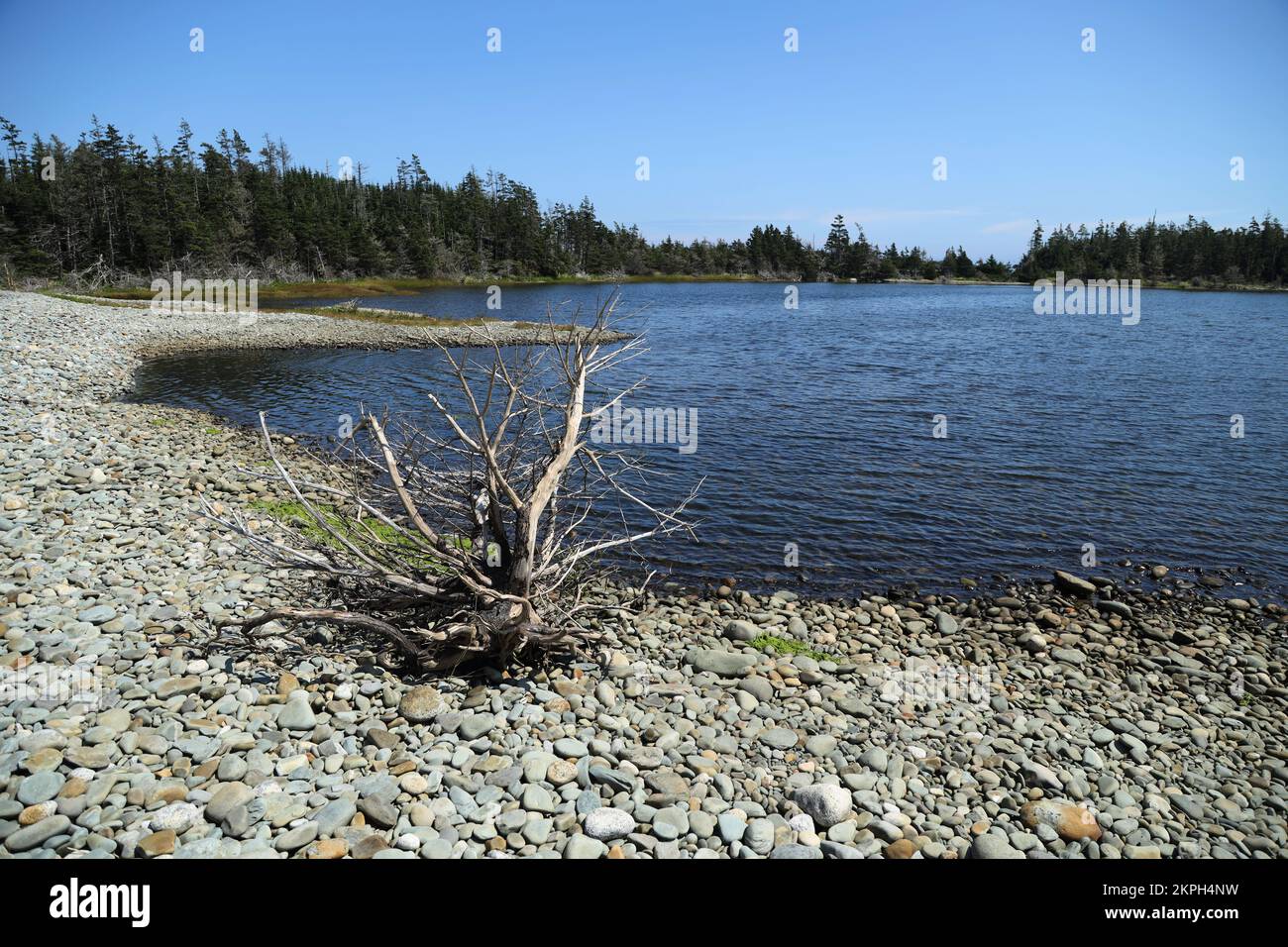 Taylor head provincial park hi-res stock photography and images - Alamy