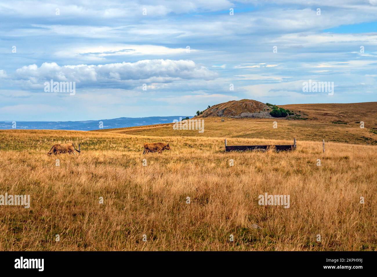 The landscape of the Besse in the heart of the Auvergne, France Stock ...