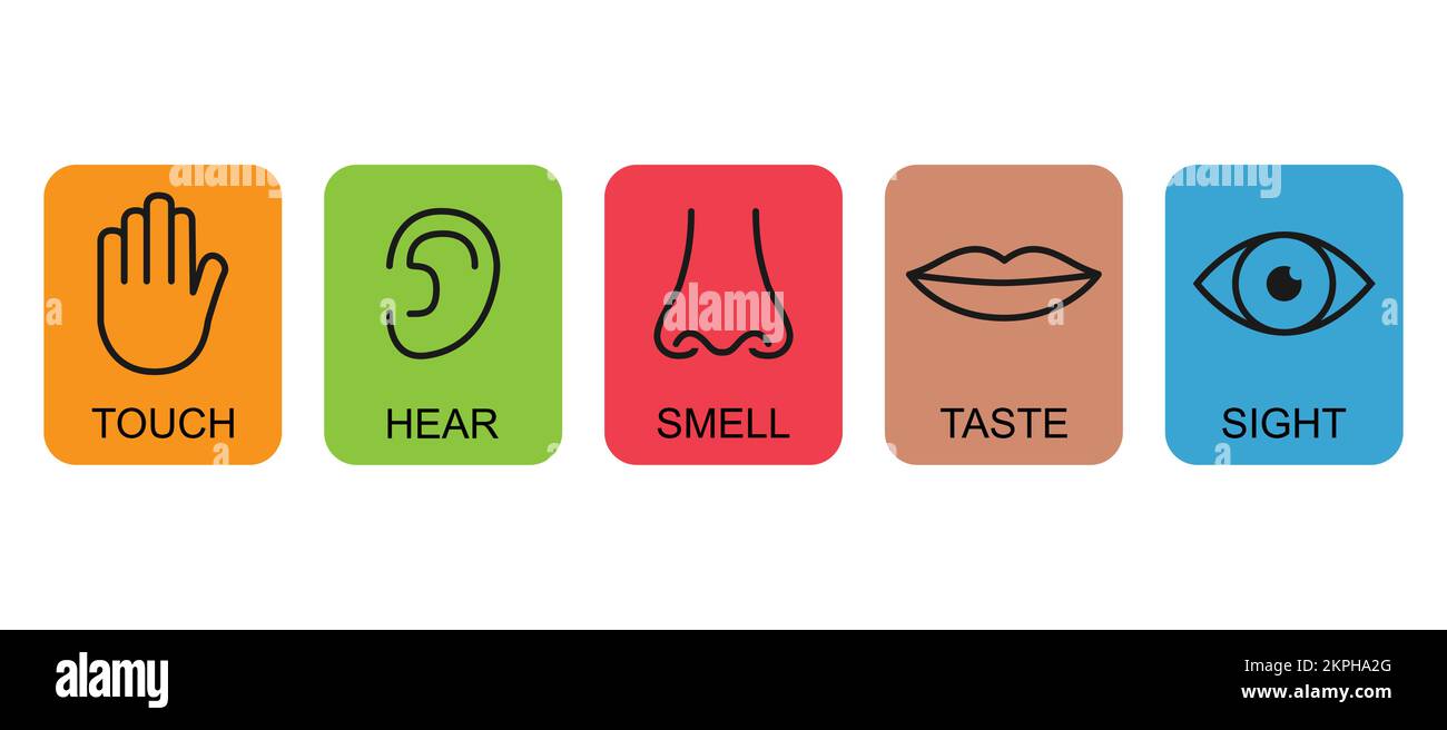 Outline icon set of five human senses: vision eye smell nose hearing ...