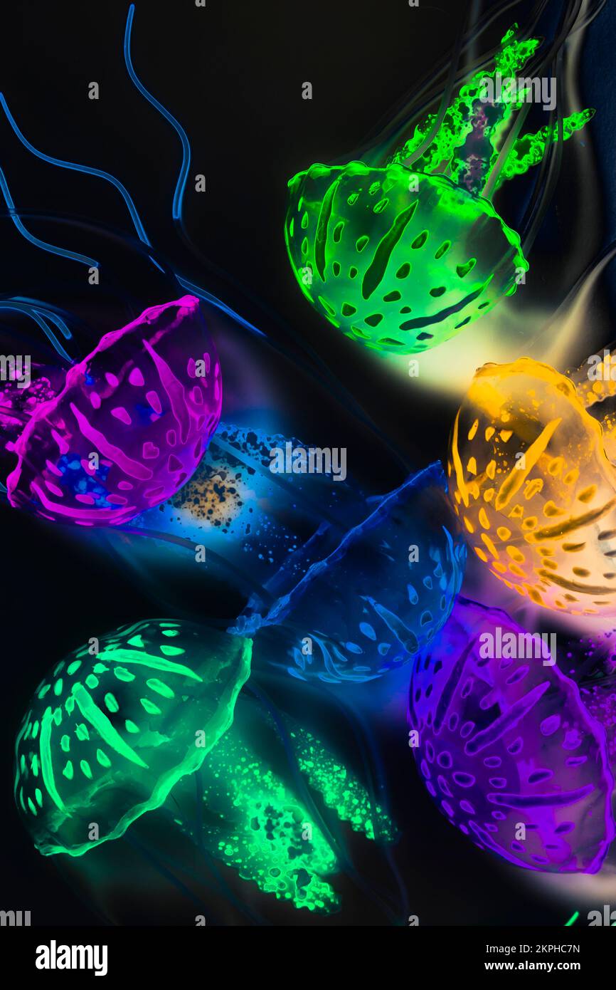 Deep sea tangle hi-res stock photography and images - Alamy