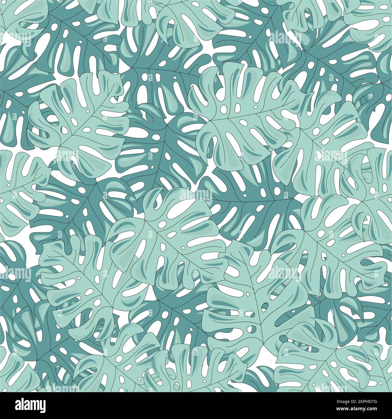 TROPICAL LEAVES Of Exotic Plant Monstera Of Southern Countries Green ...