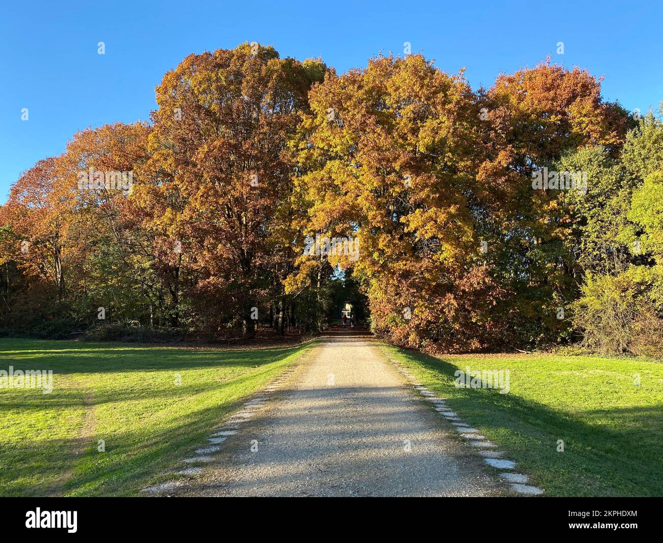 Autumn in Milan, street view of daylight foliage scenery Stock Photo ...