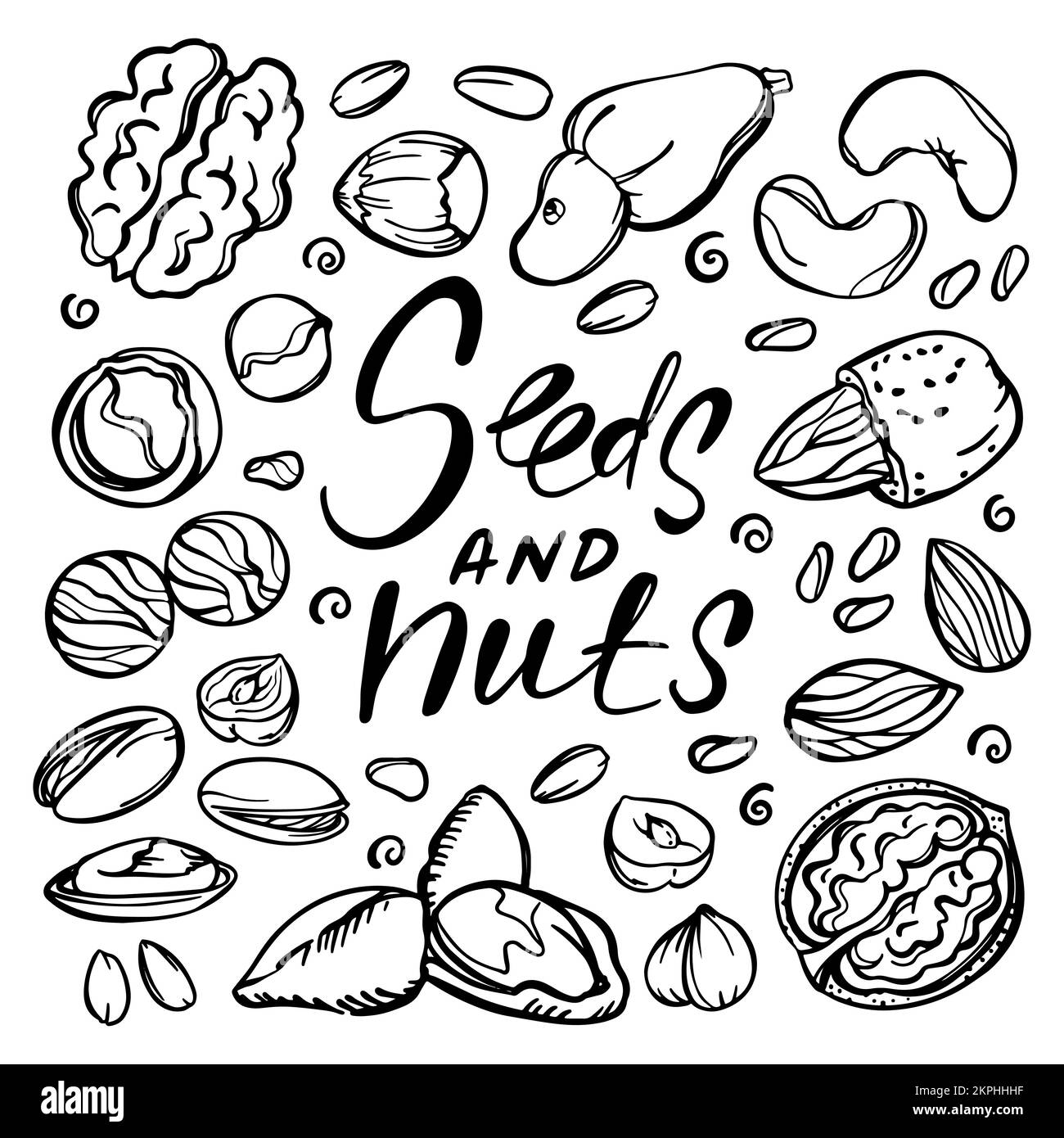 SEEDS AND NUTS MONOCHROME Food Sketch With Pistachio Almond Seed Walnut ...