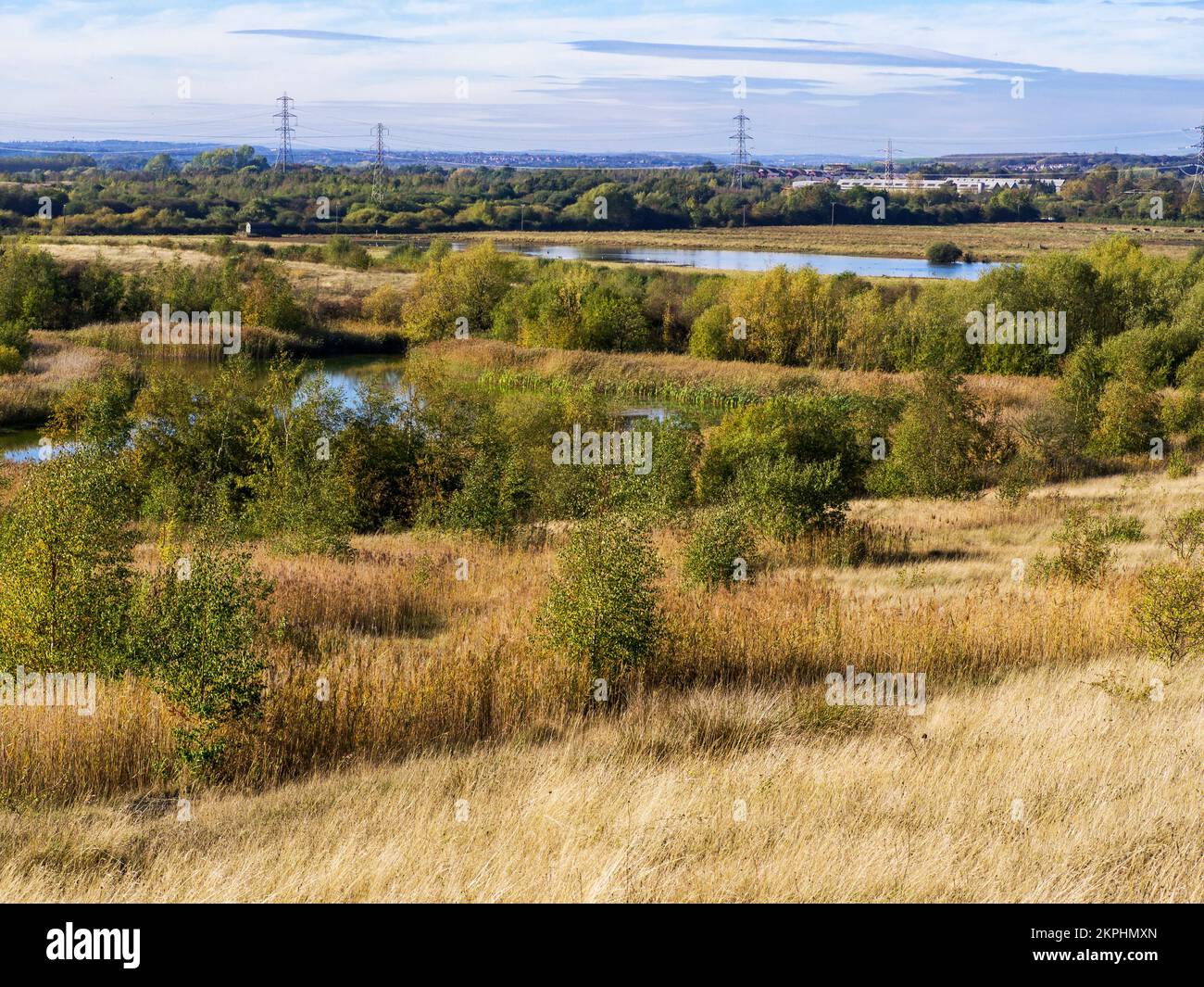 Wetlands habitat conservation hi-res stock photography and images - Alamy