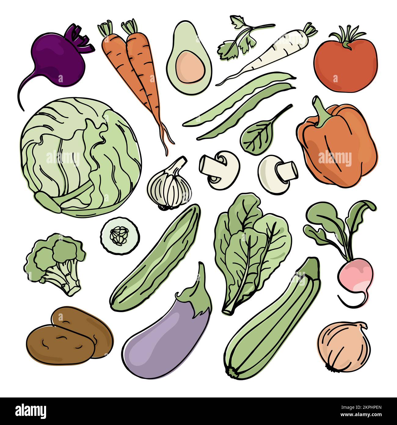 Cabbage ingredients Stock Vector Images - Alamy