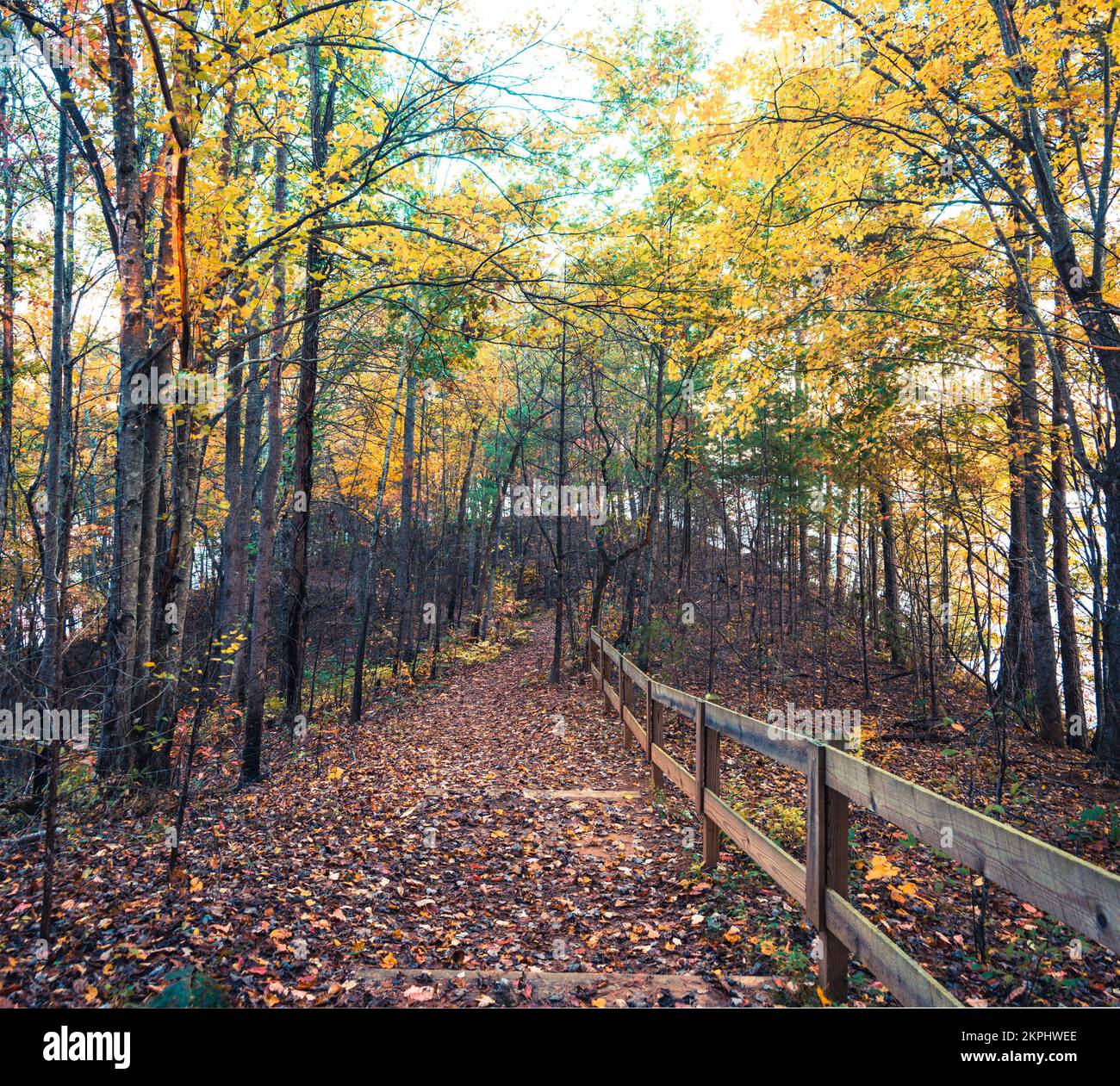 Dreamstime hi-res stock photography and images - Alamy