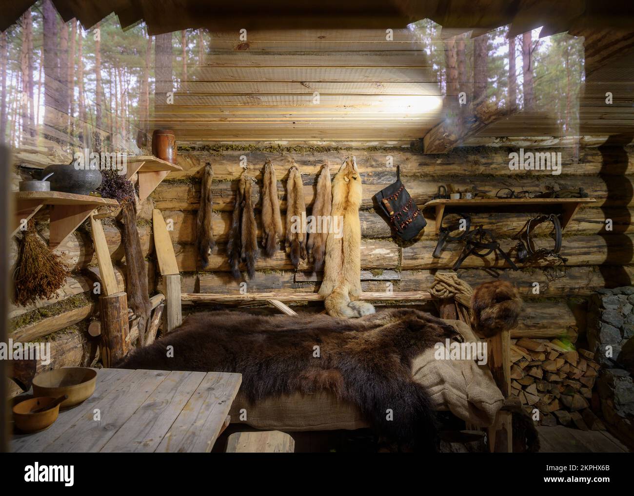 A fabulous blurred vision of the Siberian taiga in an old log hut of a ...