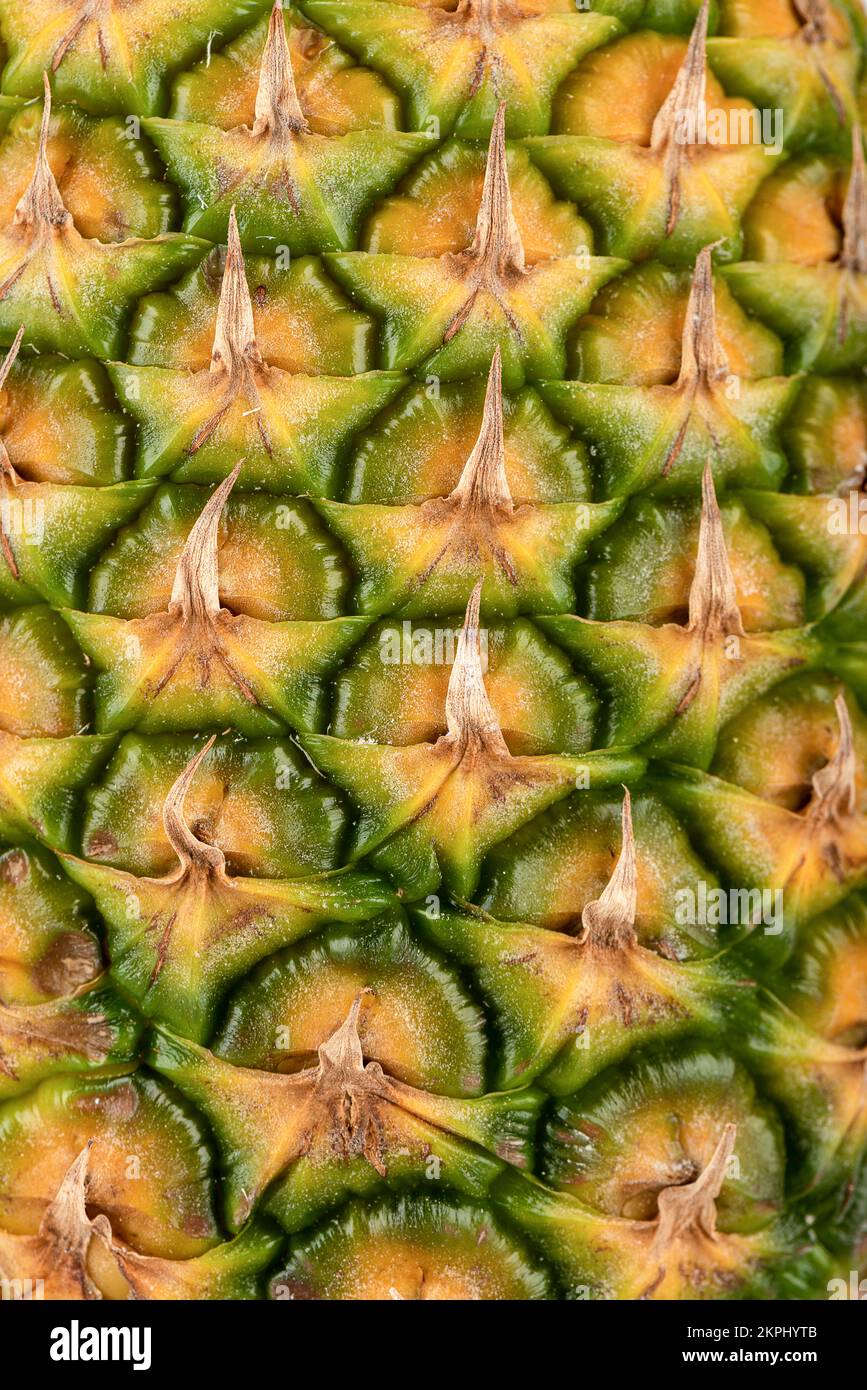 Full frame of pineapple peel as background. Abstract pineapple peel ...