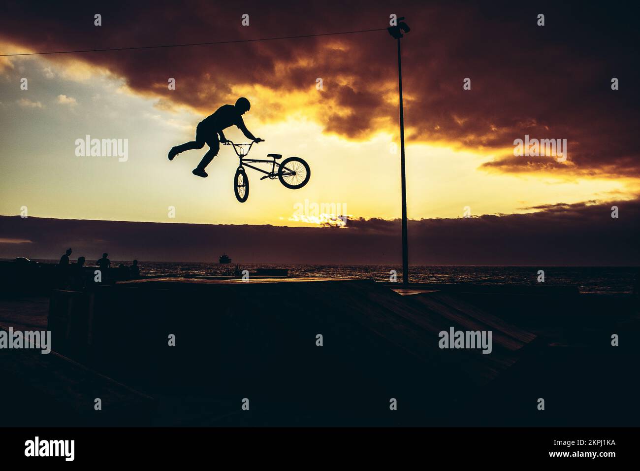 Golden back fly hi-res stock photography and images - Alamy