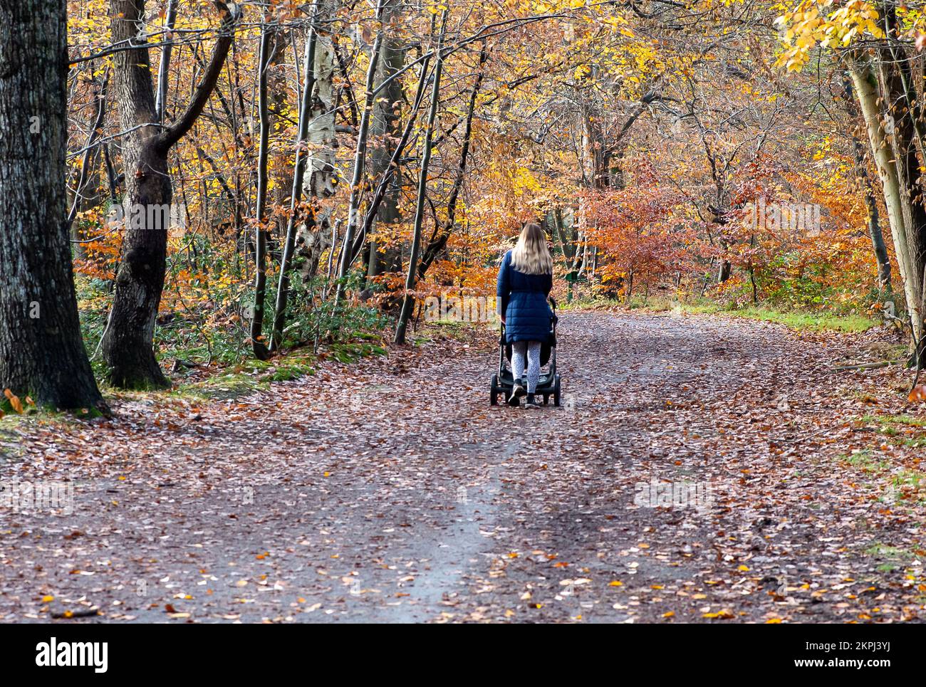 Farnham Common, Buckinghamshire, UK. 28th November, 2022. It was a ...