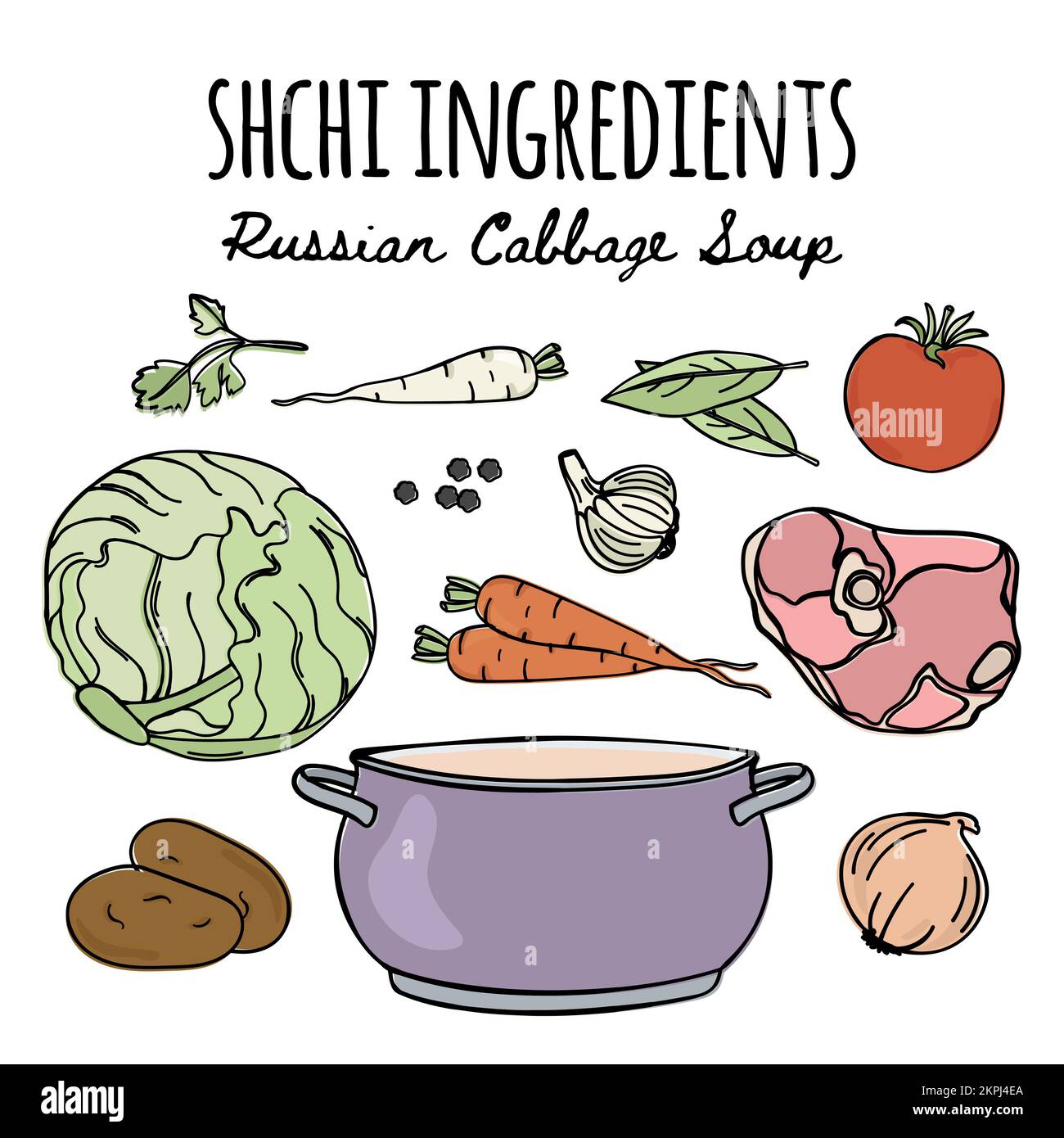 SHCHI National Russian Cuisine Menu Traditional Soup Recipe Food ...