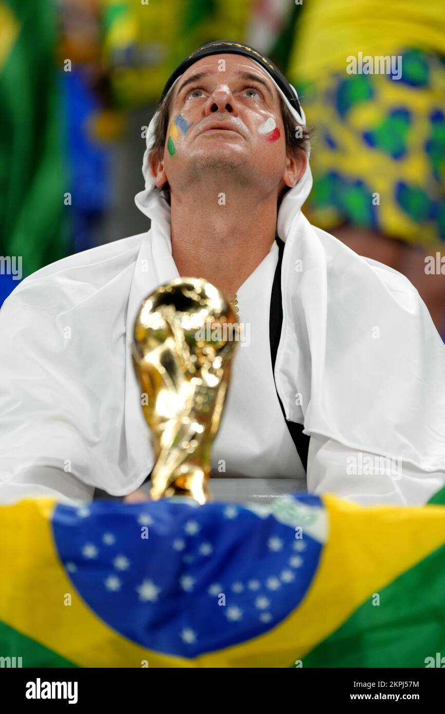 A fan of Brazil in the stands before the FIFA World Cup Group G match ...