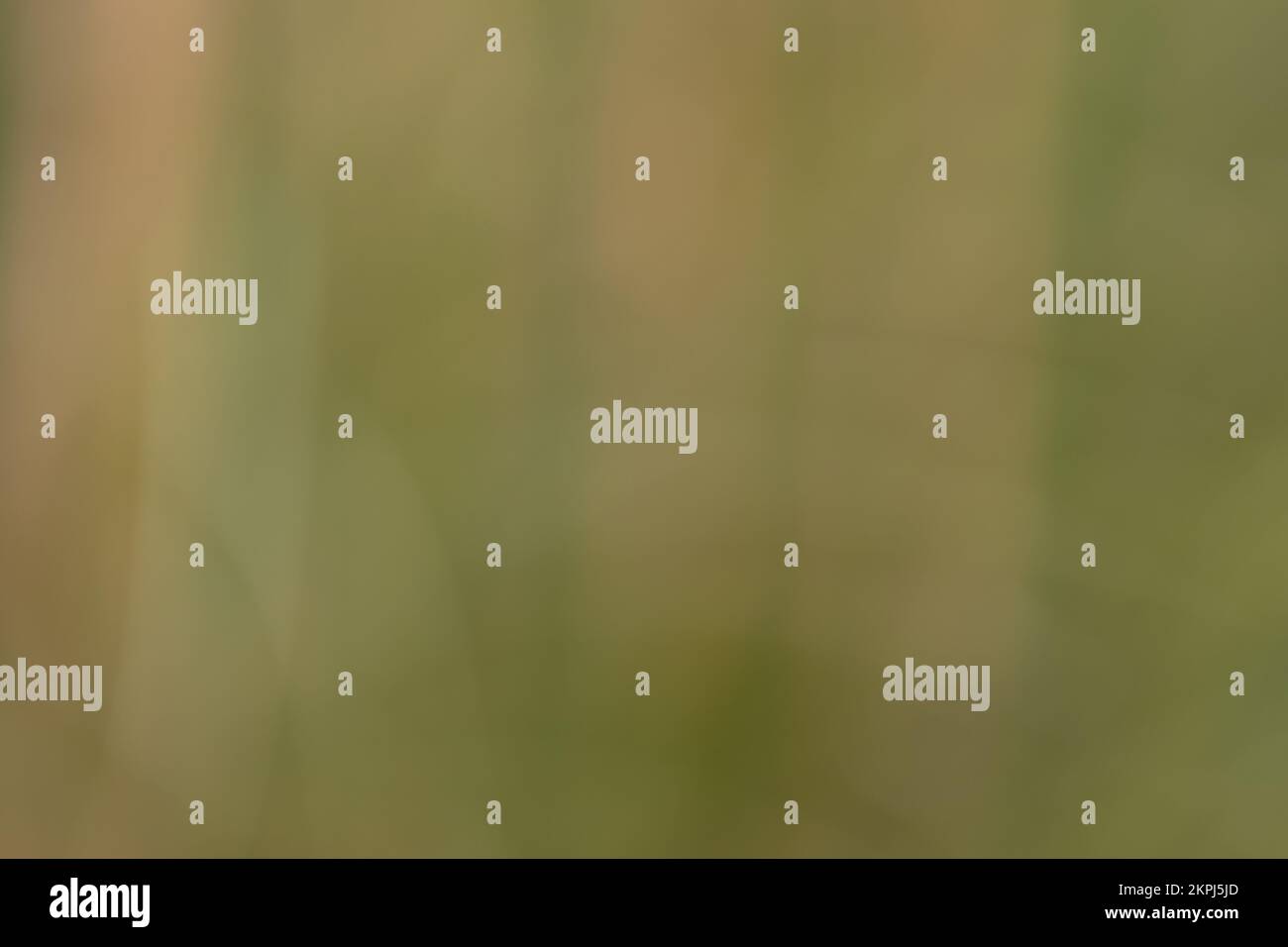 Authentic natural colors beige and green from a blurred photo of of ...