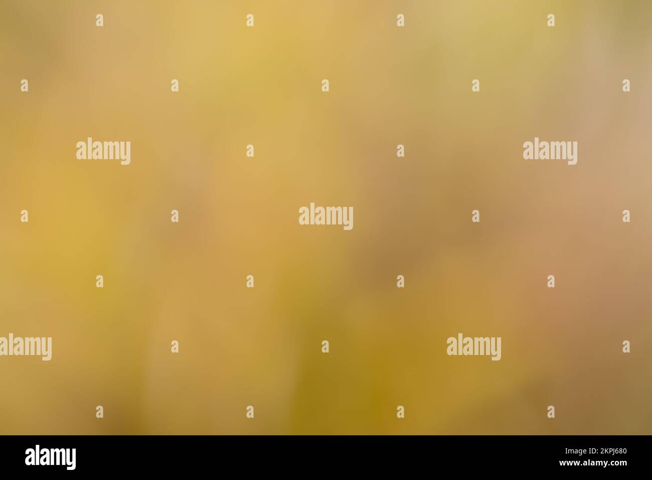 Authentic saturated natural colors with a yellow and beige tone ...