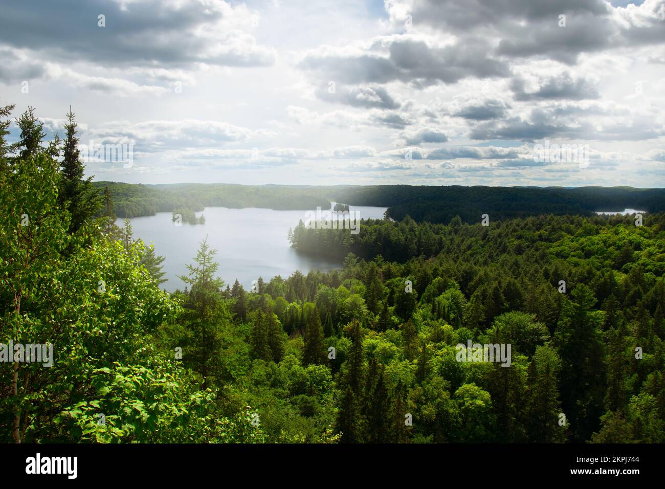 Lookup view hi-res stock photography and images - Alamy