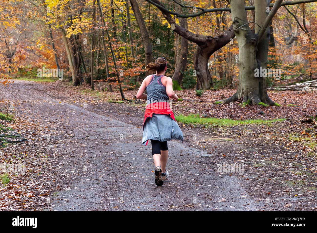 Farnham Common, Buckinghamshire, UK. 28th November, 2022. It was a ...